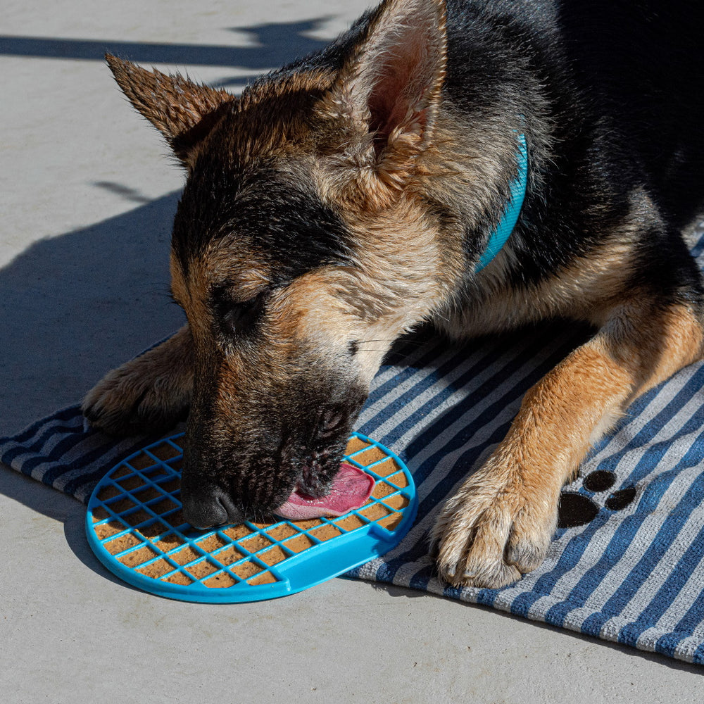 Cooper's Treats - Frozen Dog Treat Mix and Baked Dog Biscuit Mix